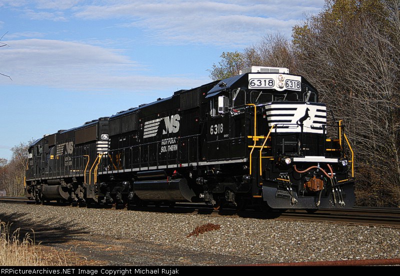 NS 6318
